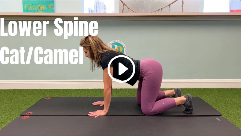 Lower Spine Cat and Camel - B3 Physical Therapy