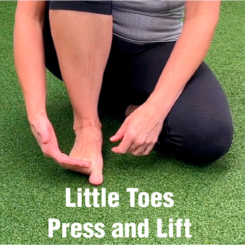 Little Toes Press and Lift - B3 Physical Therapy