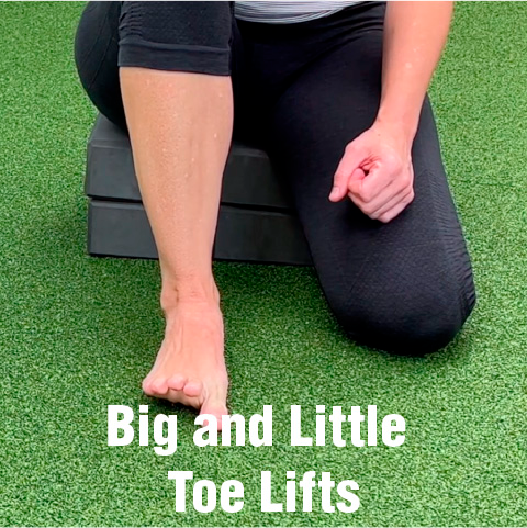 Big and Little Toe Lifts - B3 Physical Therapy